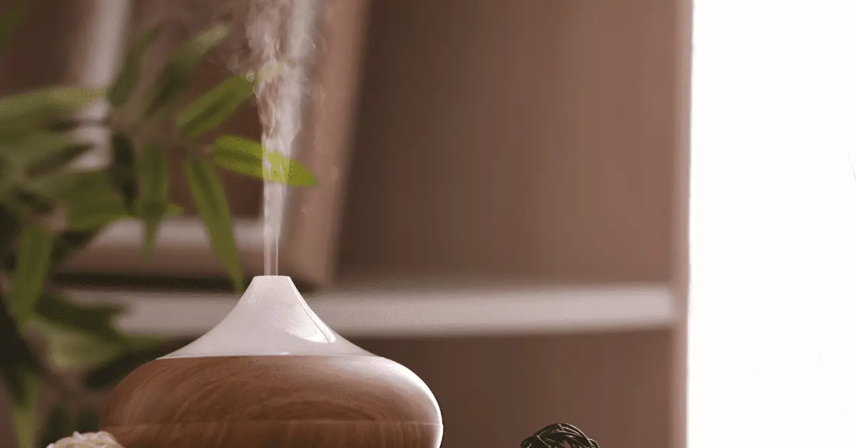 Can You Use a Diffuser as a Humidifier for Plants? – Air & Water Expert